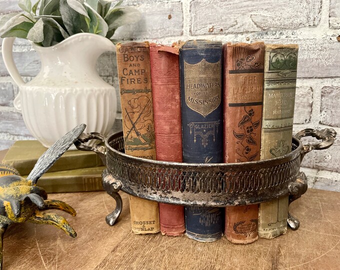 Instant Vignette Book Stack Set of 5 With Silver Plate Casserole Frame ...