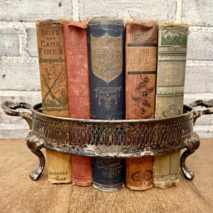 Instant Vignette Book Stack Set of 5 With Silver Plate Casserole Frame ...