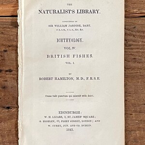 1843 Common Carp & the Barbel Fish Original Antique Hand Colored ...