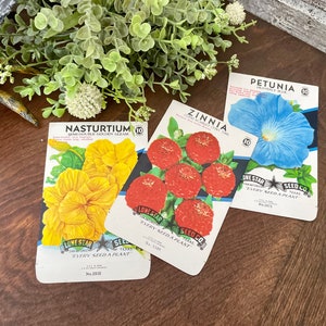 Vintage Seed Packets Nasturtium - Etsy