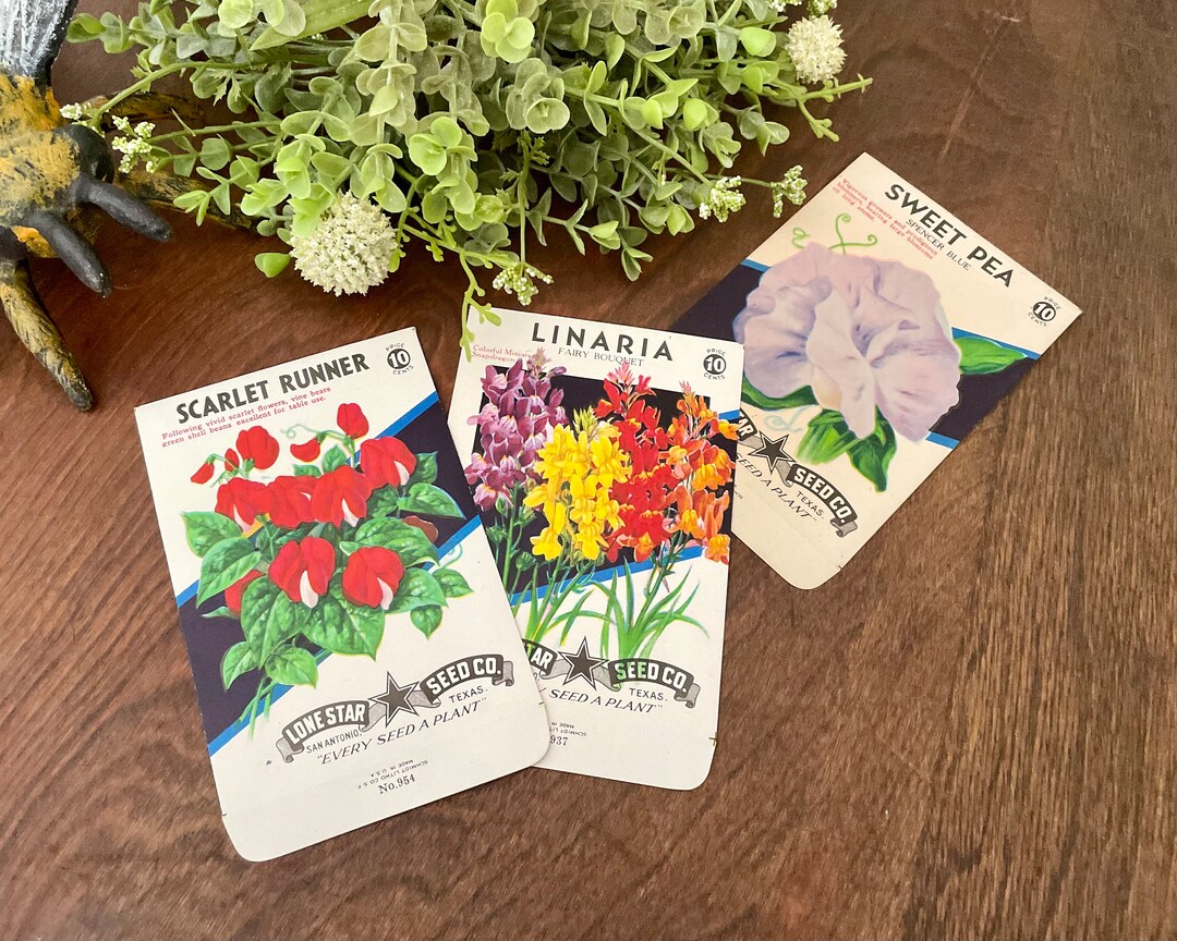 Flower Seed Packets! Set of 3! Lone Star Seed Co! San Antonio, Texas ...