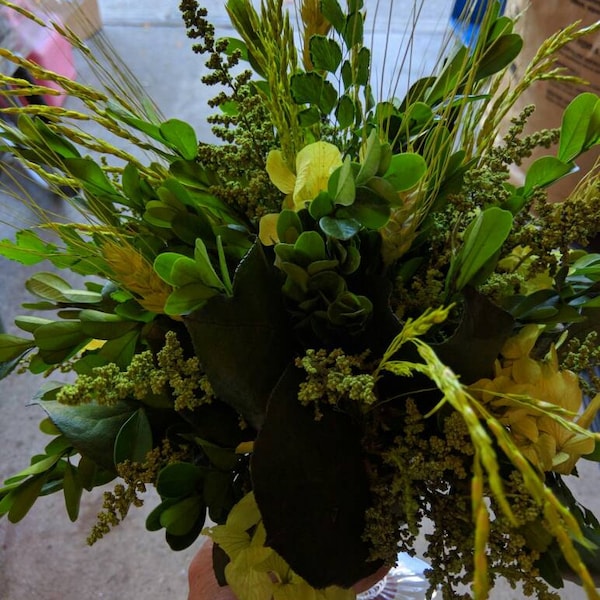Preserved Greenery - Etsy