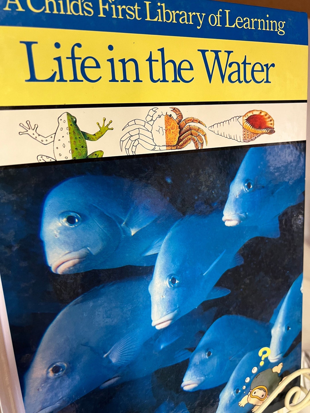 Life in the Water A Child's First Library of Leaning Time Life Books ...