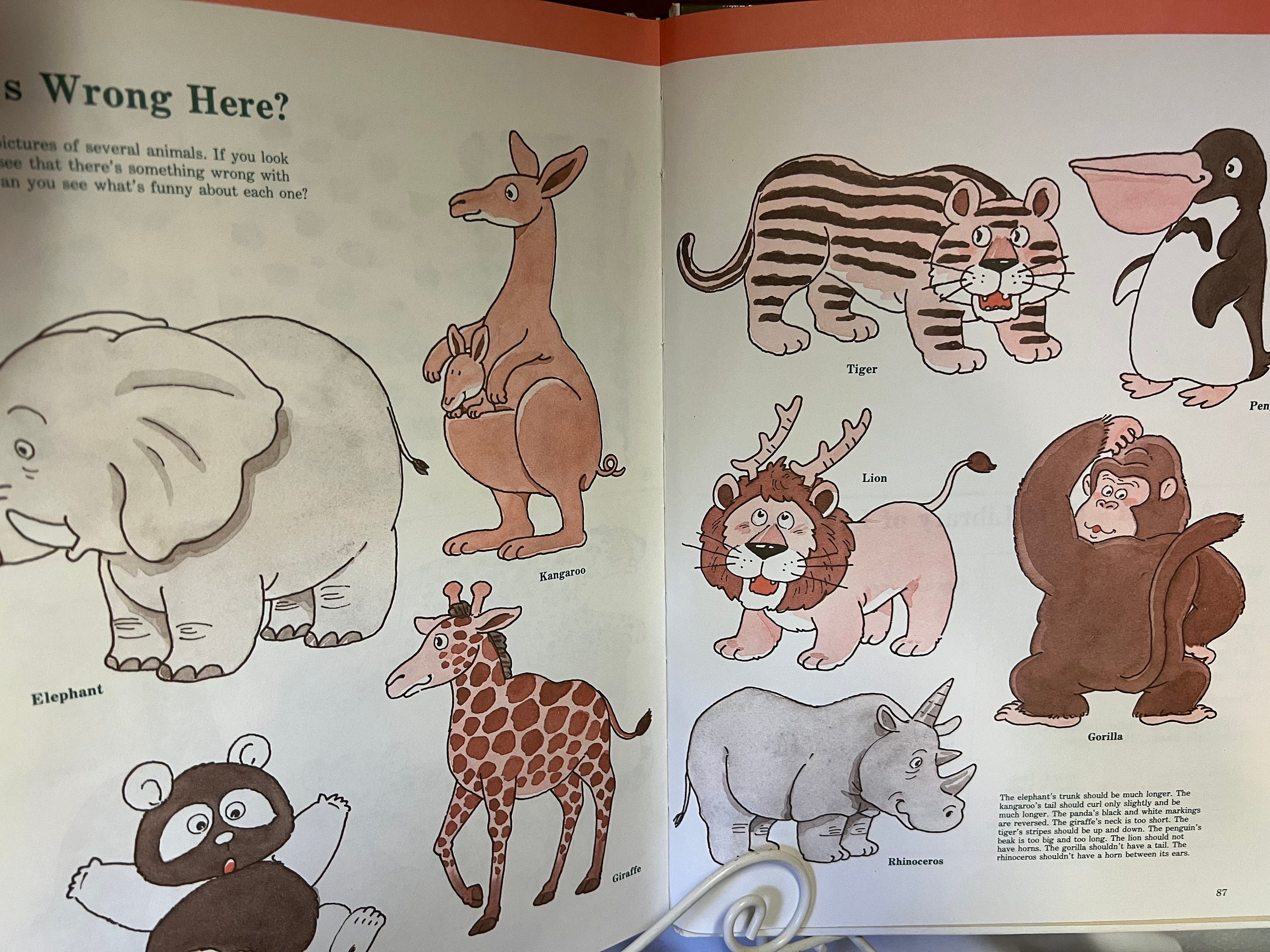 Wild Animals A Child's First Library of Leaning Time Life Books Large ...