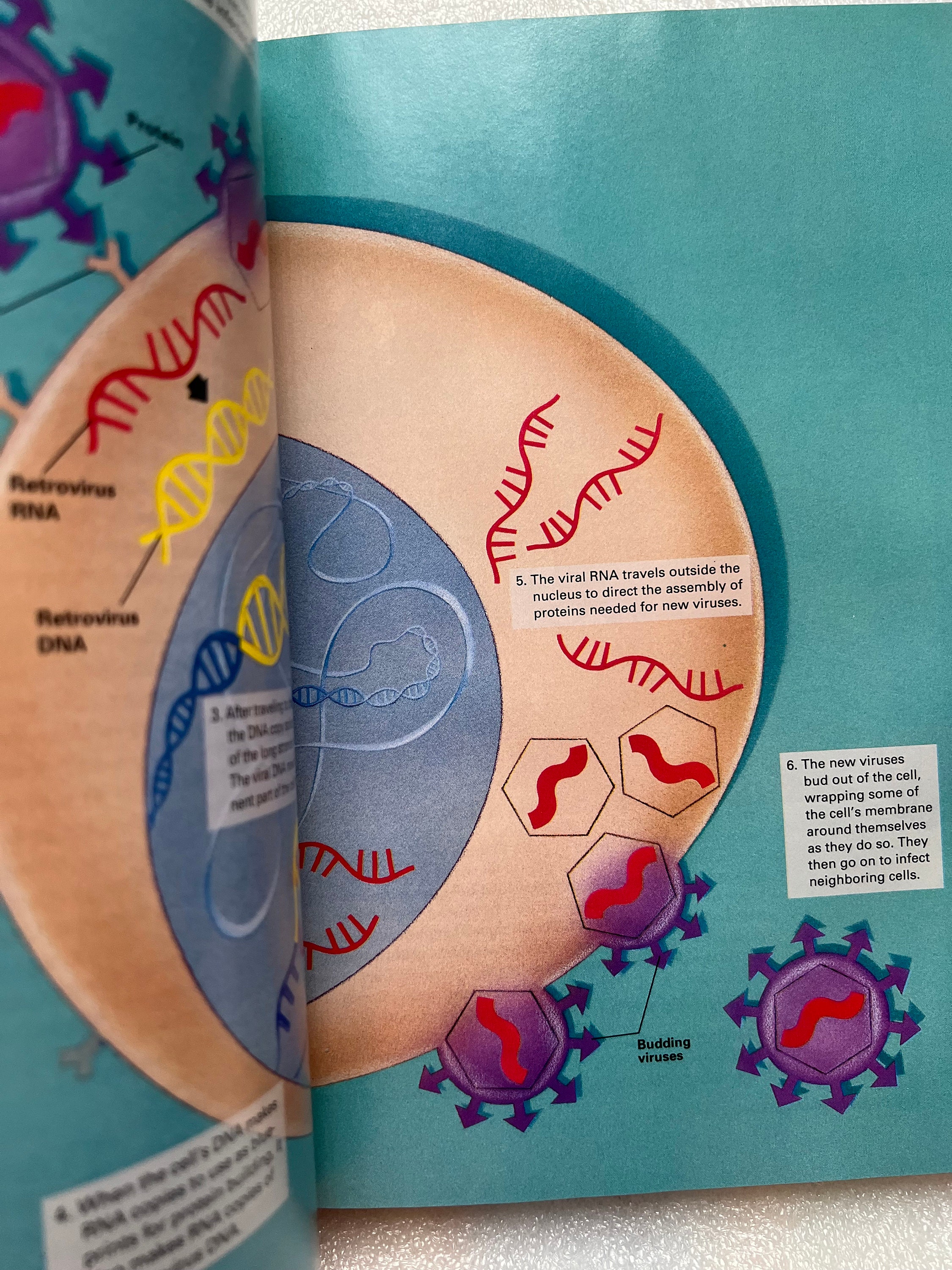 The World Book Science Year Annual 1995 Science Year World Book 1995 ...