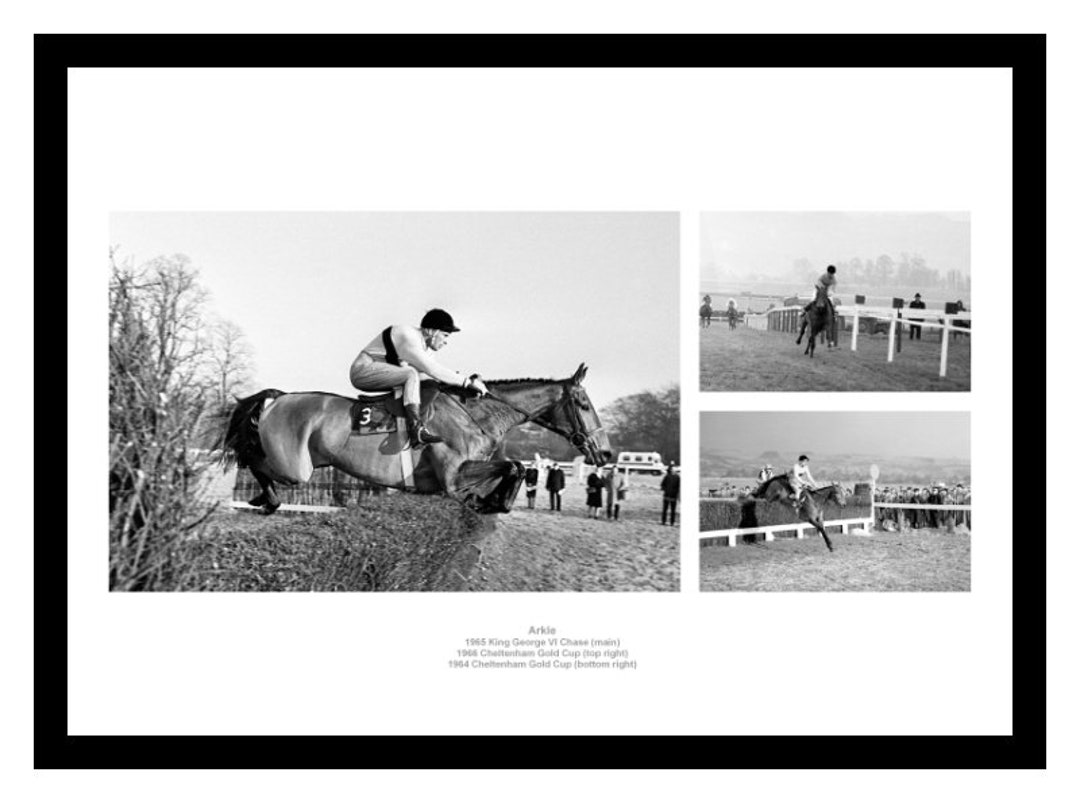 Arkle Horse Racing Legends Photo Memorabilia - Etsy