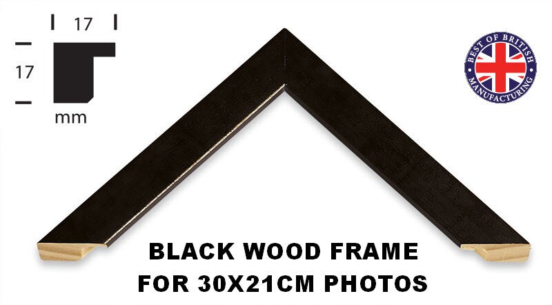 Newcastle United 'number 9' Legends Photo Memorabilia | Etsy