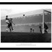 Bodyline Series 1932/33 Ashes Series Cricket Photo Memorabilia - Etsy UK