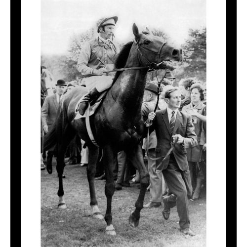 Arkle 1964 Cheltenham Gold Cup Horse Racing Photo Memorabilia | Etsy