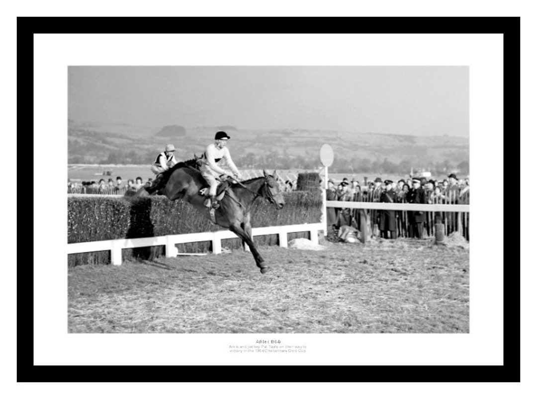 Arkle 1964 Cheltenham Gold Cup Horse Racing Photo Memorabilia - Etsy