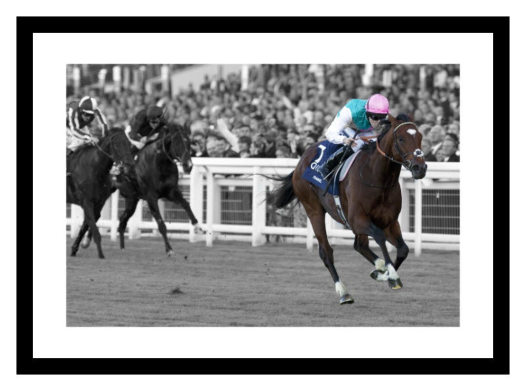 Frankel Horse Racing Legend Spot Colour Photo Memorabilia - Etsy