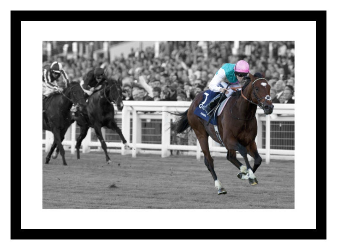 Frankel Horse Racing Legend Spot Colour Photo Memorabilia | Etsy