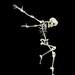 Dancing Skelly #1 Sticker - Etsy