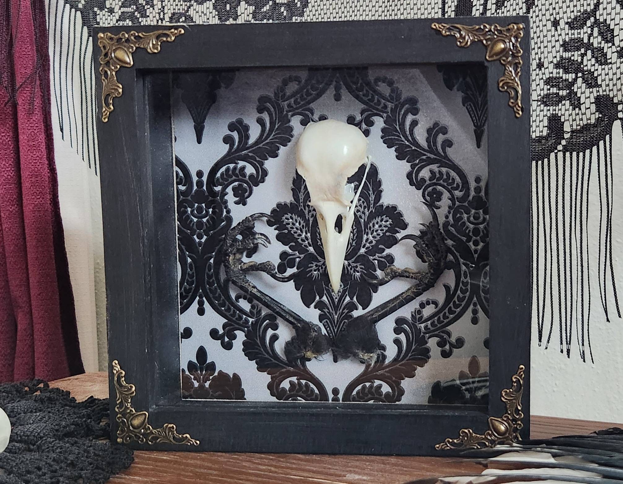 Bird Skull Photography