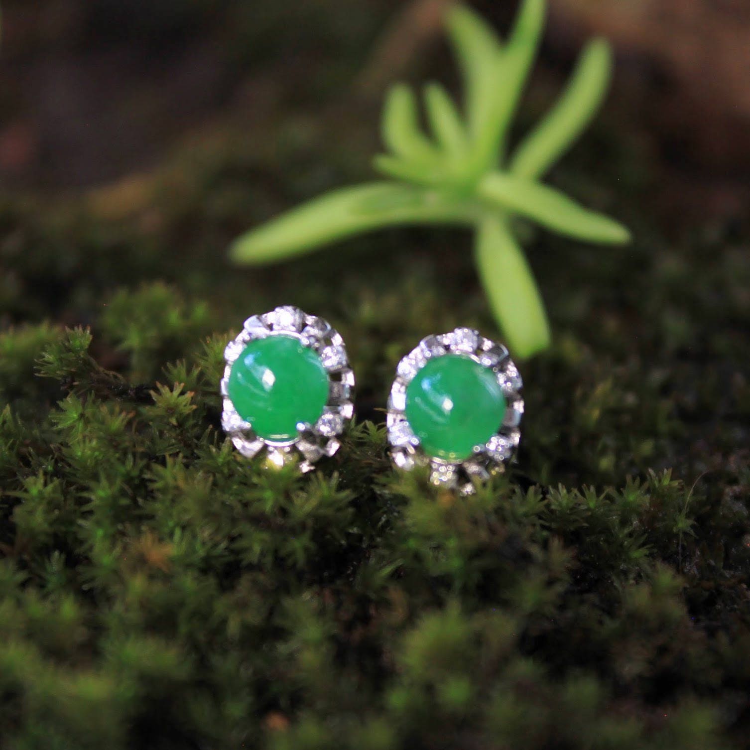 High Quality, Apple-green Jadeite Jade (grade A) Gemstone Set 92.5 ...