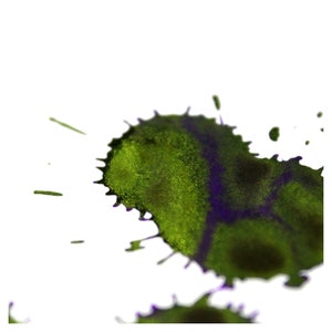 TROUBLEMAKER Ink SIMOUN SHIMMER Fountain Pen Ink Handmade Dip Pen Ink ...