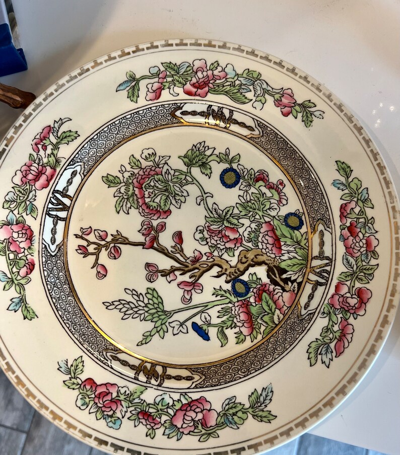 Set of 4 Alfred Meakin India Tree Dinner Plates, Medina Shape, 10 ...