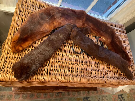 1950s vintage fox and mink stole collars - Gem