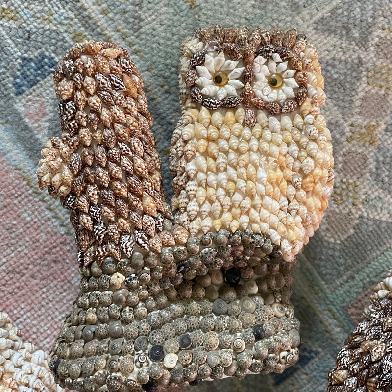 Seashell Animals - Etsy