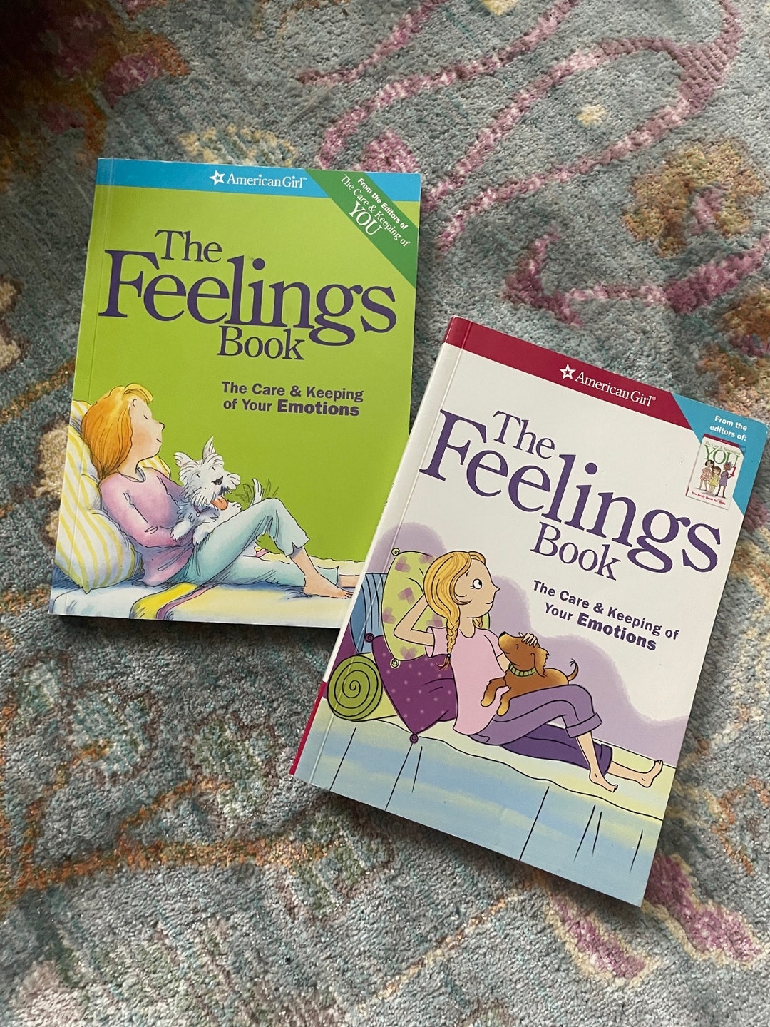 American Girl Library-the Feelings Book - Etsy