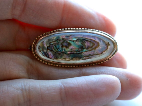 1920s Vintage Abalone brooch pin - Gem