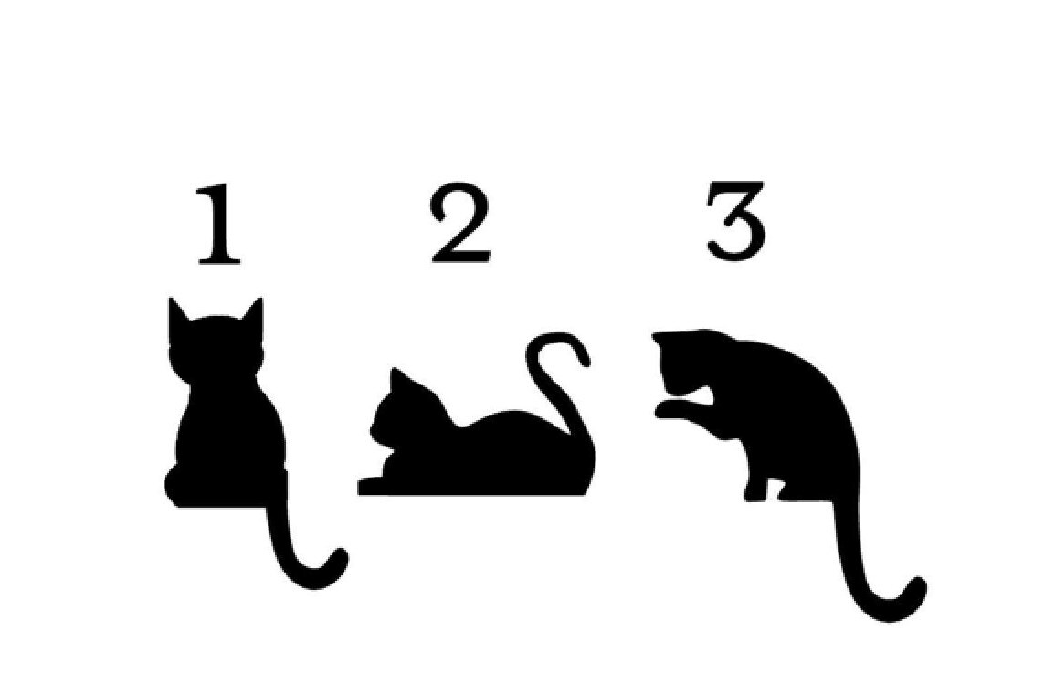 Cat Light Switch Decal-lightswitch Sleeping Kitten Decal-light Switch ...