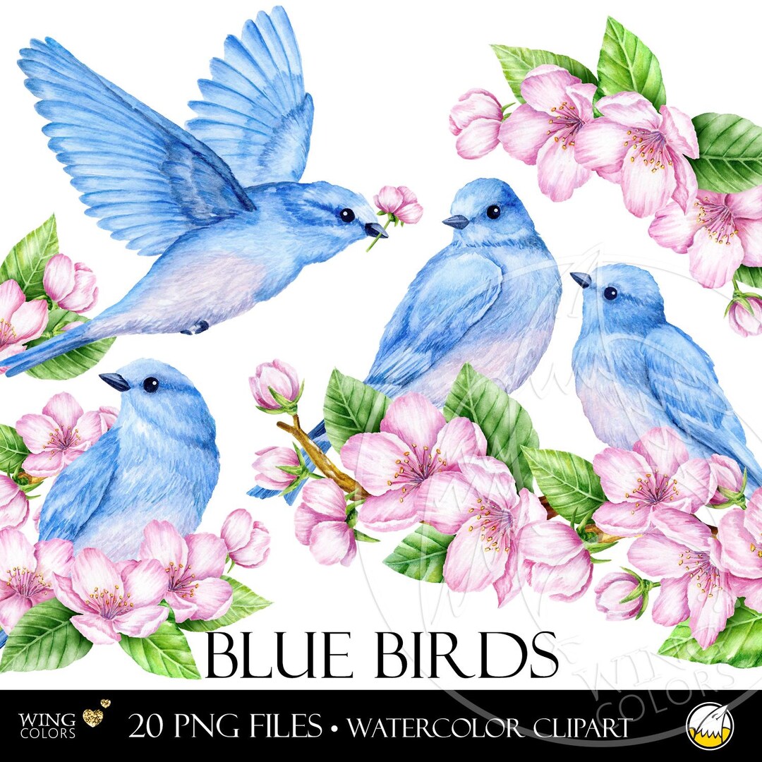 Watercolor Lucky Blue Bird Clip Art Set. Dove of Peace, Phoenix in Pink ...