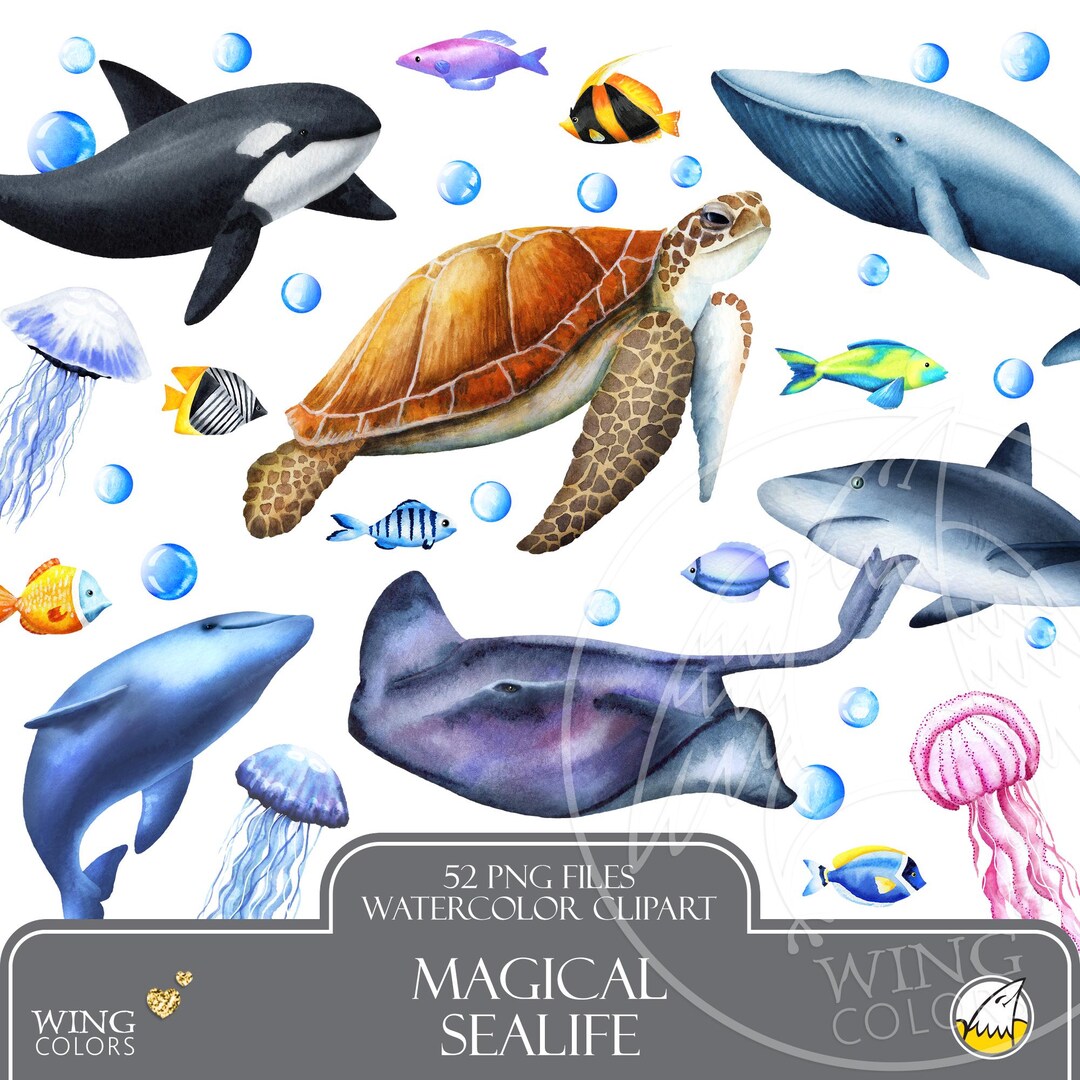 Watercolor Sea Life Clipart: Underwater Ocean Animals, Handpainted ...