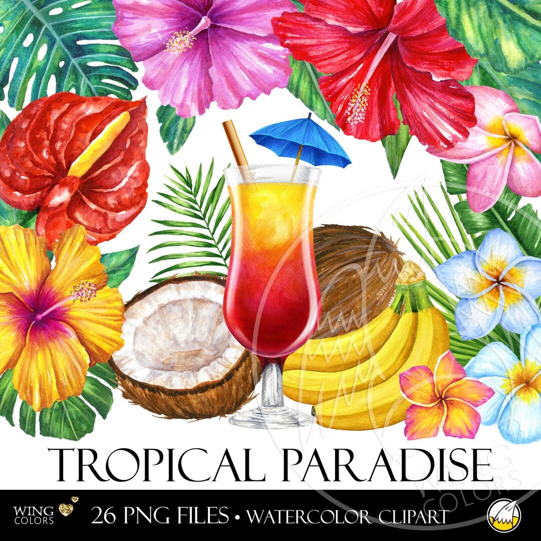Tropical Paradise Watercolor Clipart - Exotic Flowers, Fruits and ...