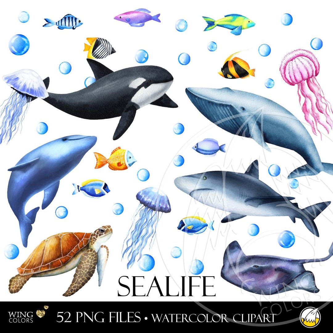 Ocean Ecosystem Watercolor Clipart. Sea Creatures and Vibrant Ocean ...
