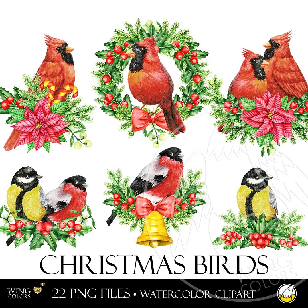 Watercolor Christmas Birds Clip Art Red Cardinal, Bullfinch, Great Tit ...