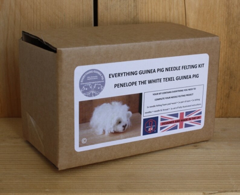 Needle Felted Guinea Pig Craft Kit [penelope White Texel] - Etsy