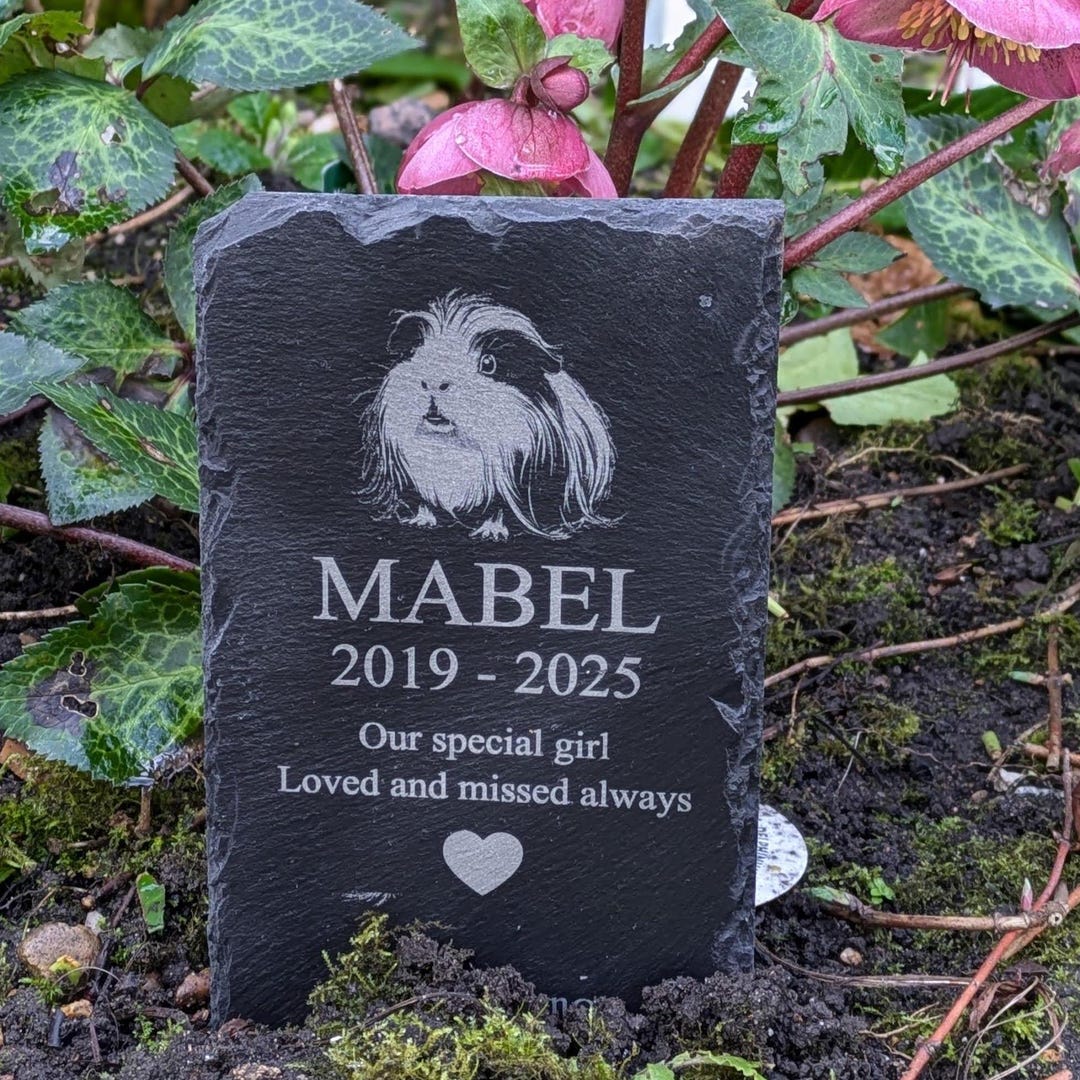 Personalised Long Haired Guinea Pig Slate Memorial Plaque, Pet Memorial ...