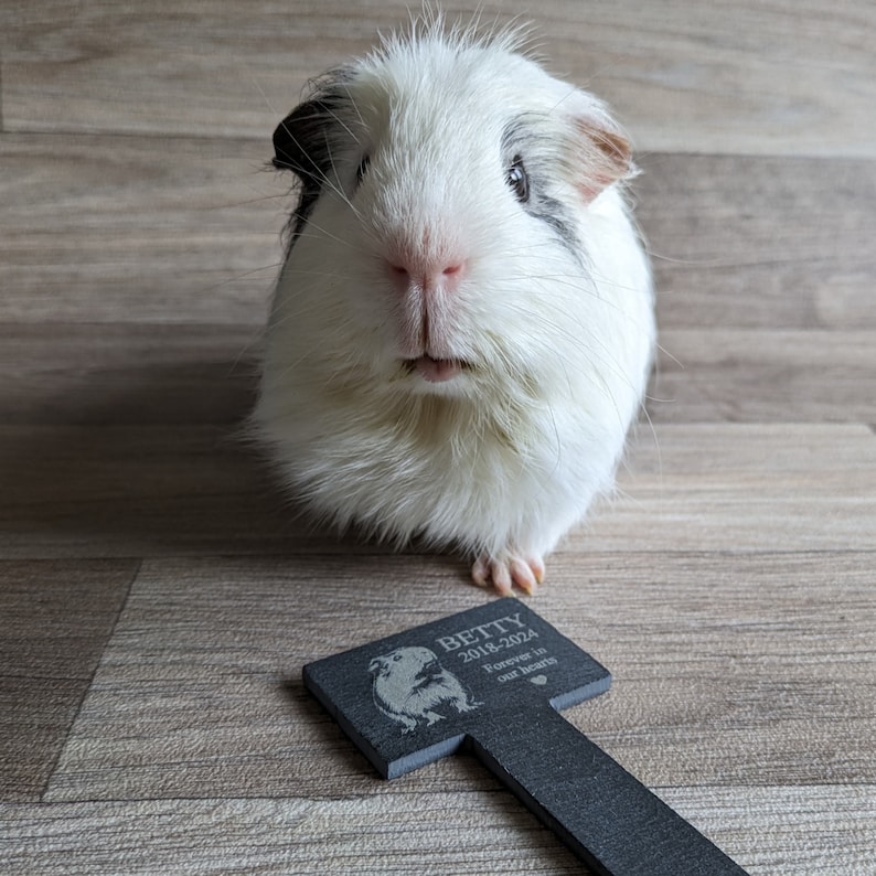 Personalised Guinea Pig Slate Memorial Spike, Pet Memorial, Pet ...