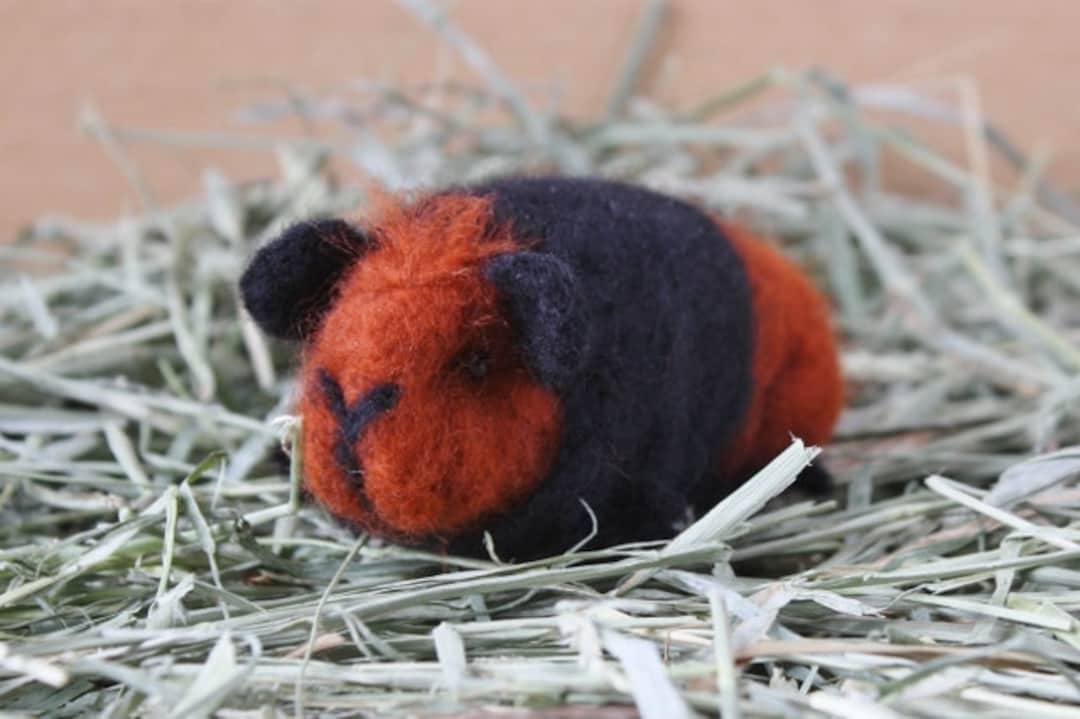 Needle Felted Guinea Pig Craft Kit [bertie Black & Tan] - Etsy