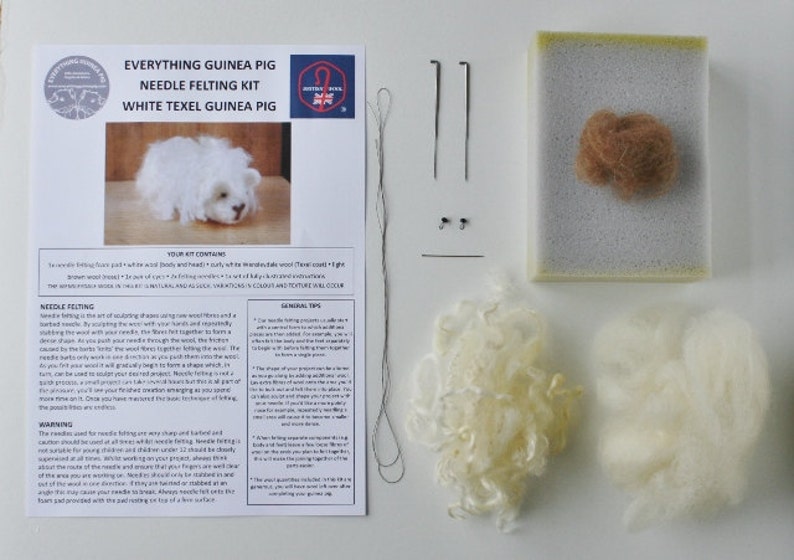 Needle Felted Guinea Pig Craft Kit [penelope White Texel] - Etsy