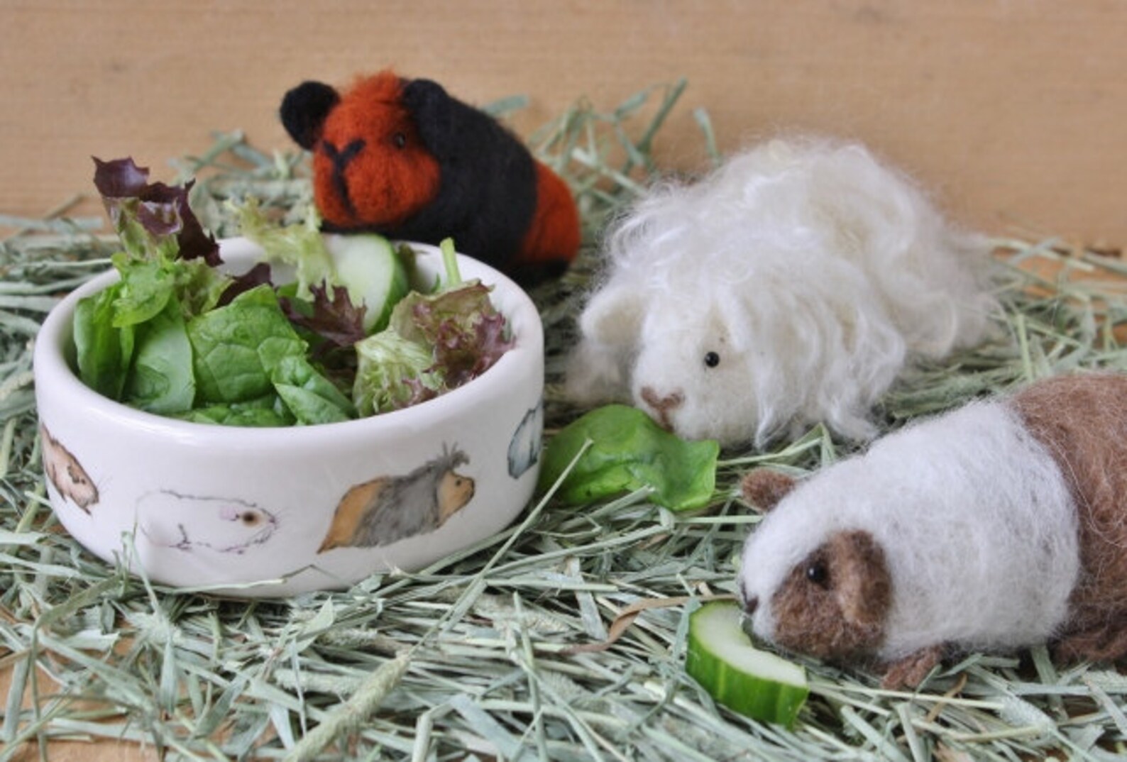 Needle Felted Guinea Pig Craft Kit [bertie Black & Tan] - Etsy