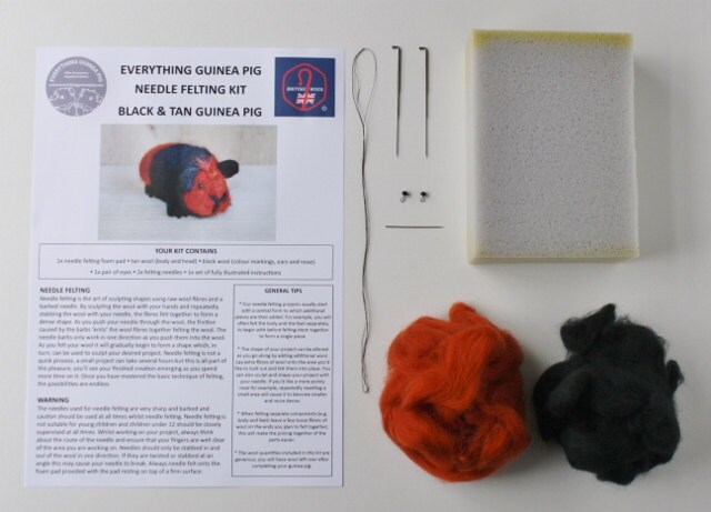Needle Felted Guinea Pig Craft Kit [bertie Black & Tan] - Etsy