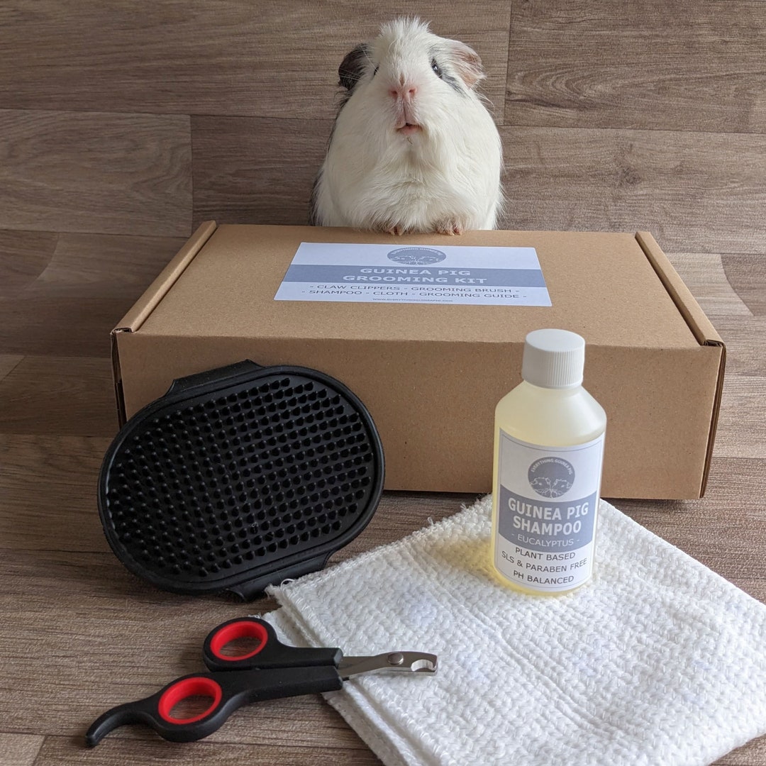 Guinea Pig Grooming Kit, Guinea Pig Accessories, Guinea Pig Care ...