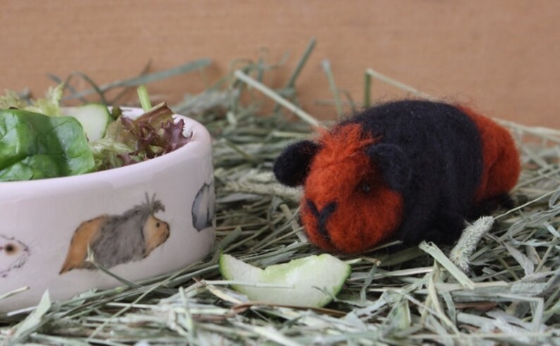 Needle Felted Guinea Pig Craft Kit [bertie Black & Tan] - Etsy