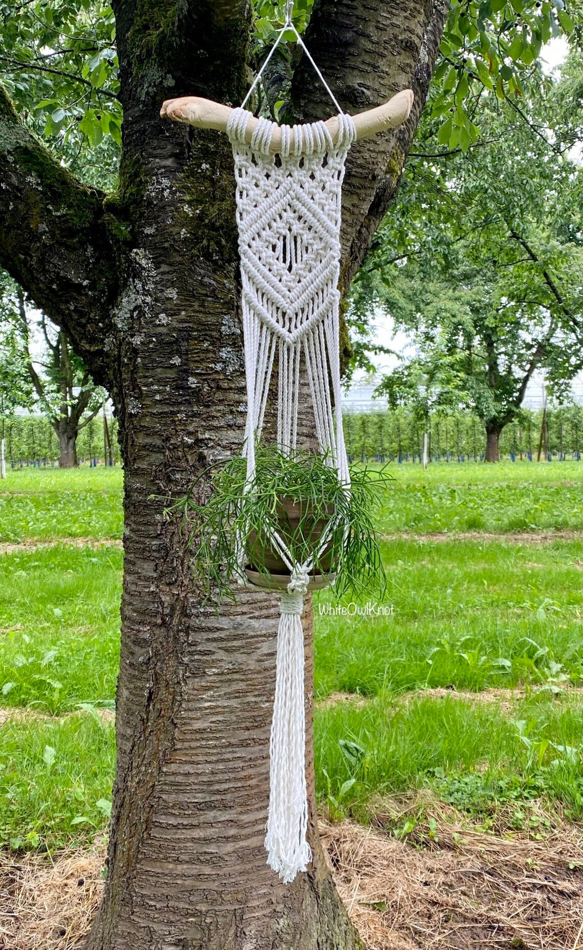 DIY Macrame Plant Hanger Geometric Wall Plant Hanger PDF - Etsy