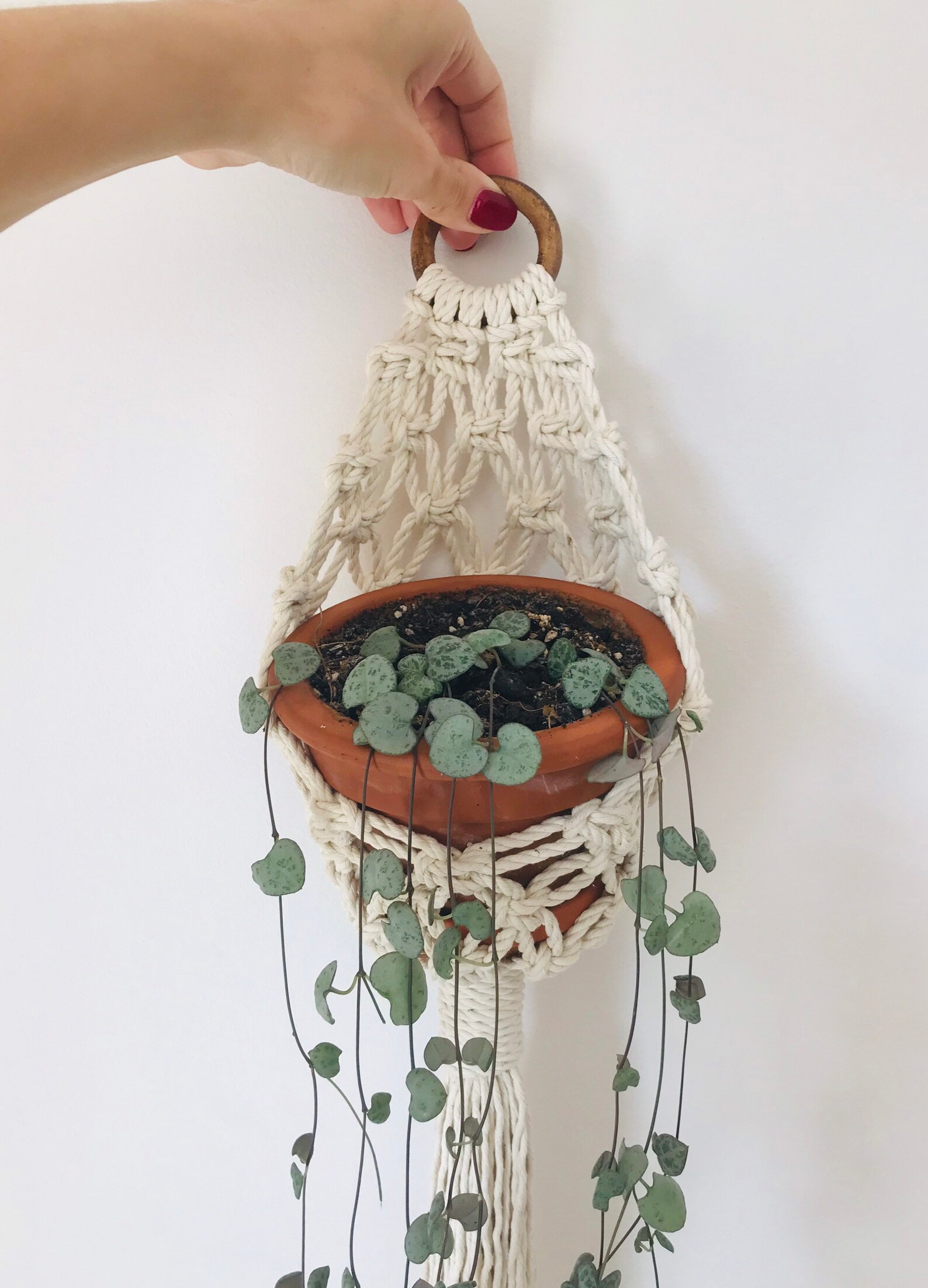 PDF Pattern Macrame Pod Planter Macrame Plant Hanger - Etsy