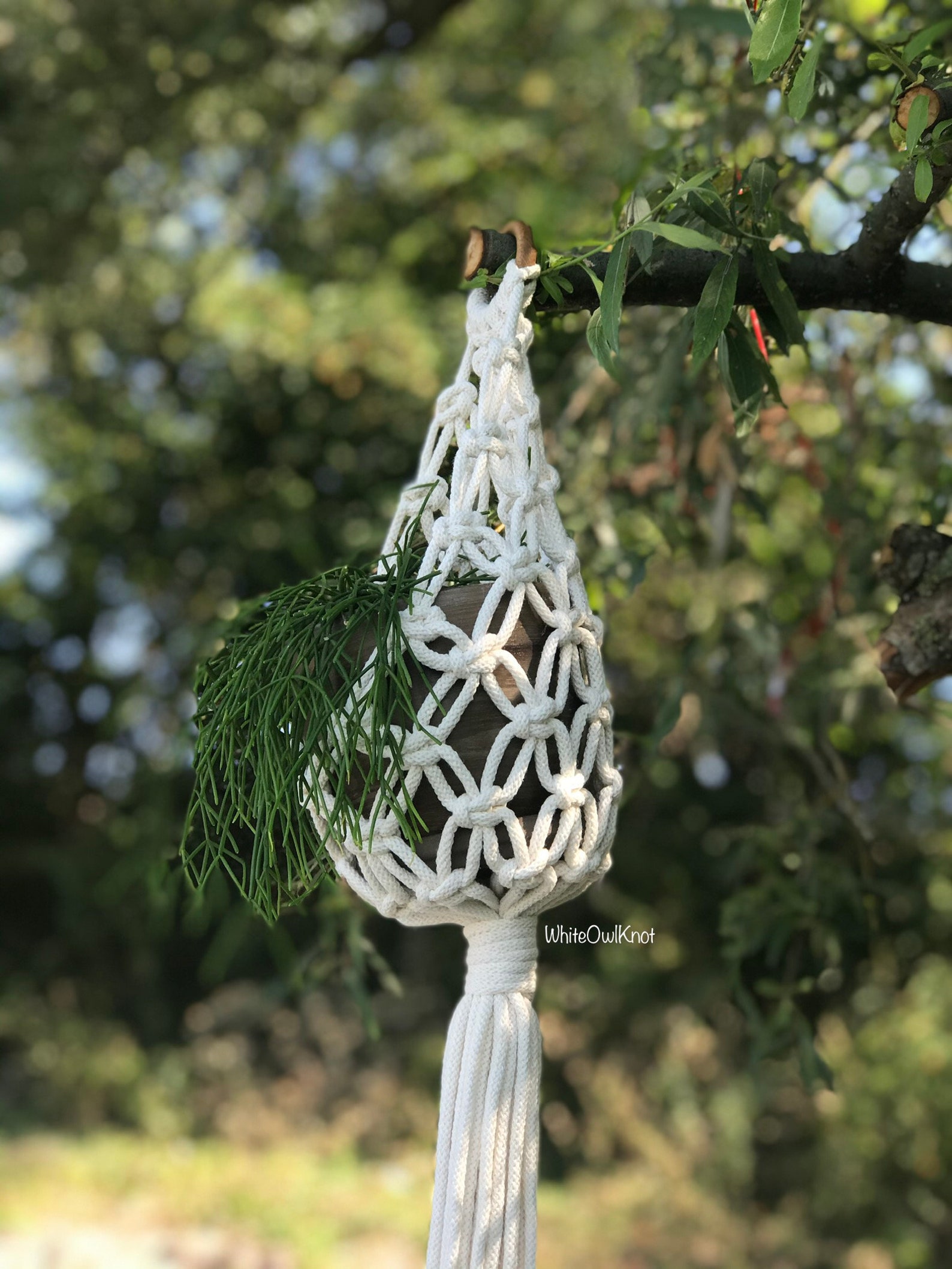 PDF Pattern Macrame Pod Planter Macrame Plant Hanger - Etsy Canada