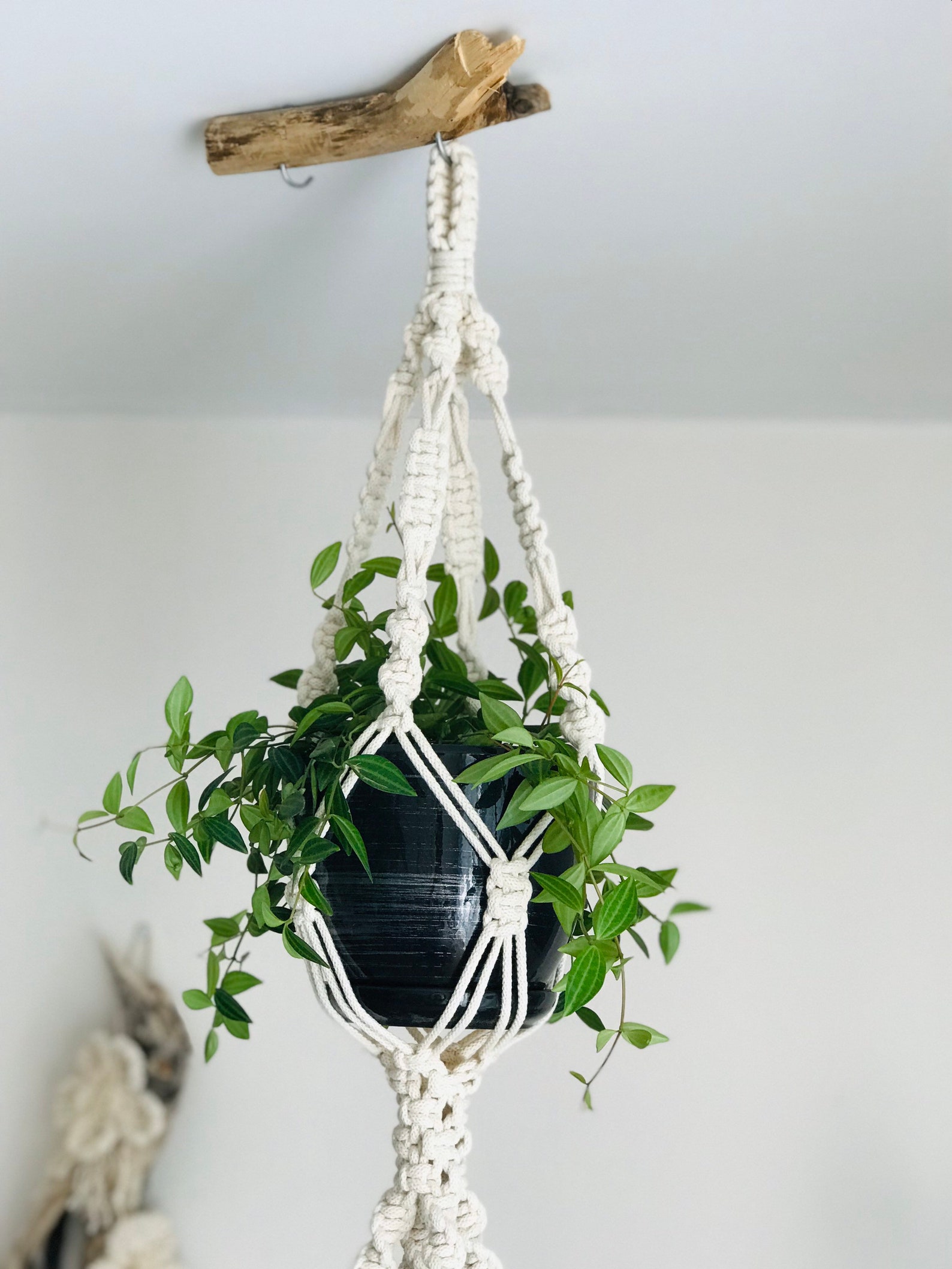 Double Macrame Plant Hanger Pattern BEGINNER Macramé Pattern - Etsy