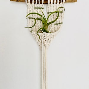 PDF Macrame Air Plant Holder Pattern, Macrame Plant Hanger Pattern ...
