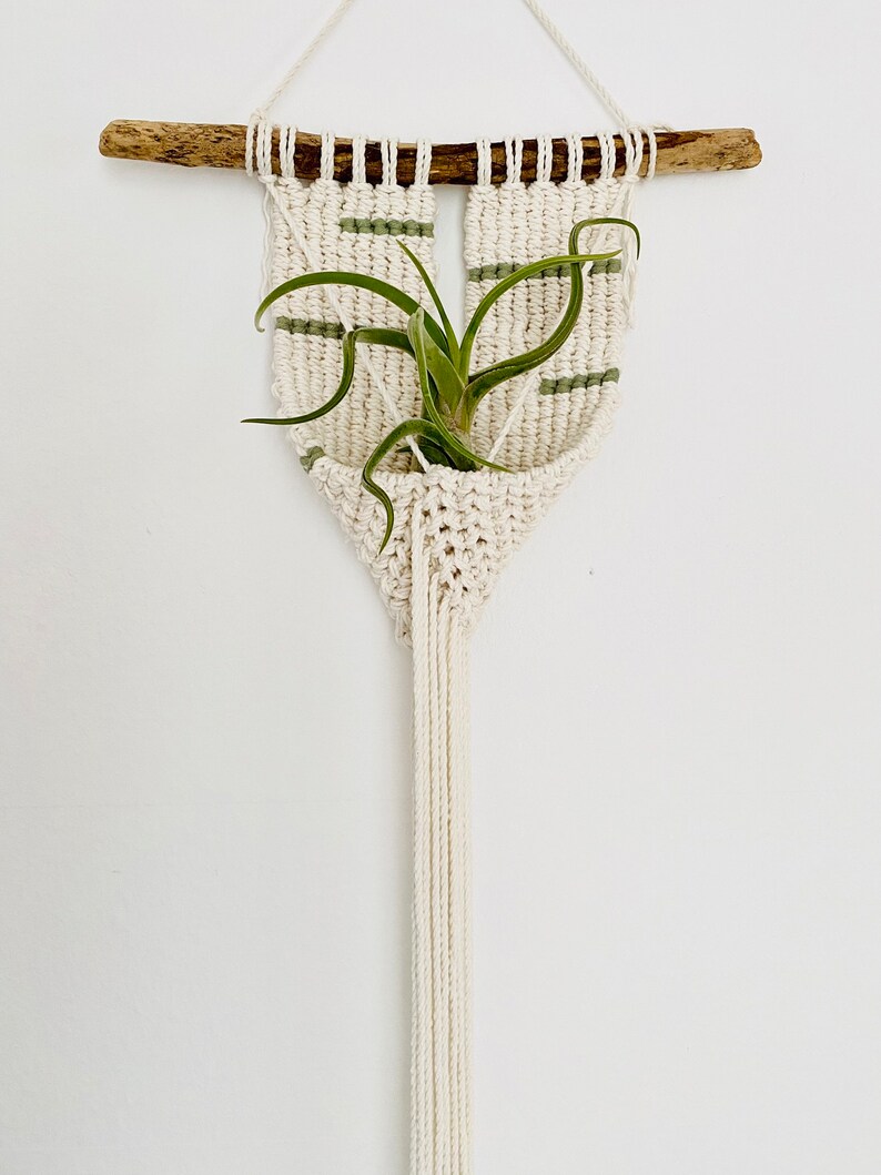 PDF Macrame Air Plant Holder Pattern Macrame Plant Hanger - Etsy