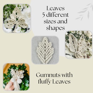 Bundle of Floral Macrame Patterns: Unlock Your Creativity With Stunning ...