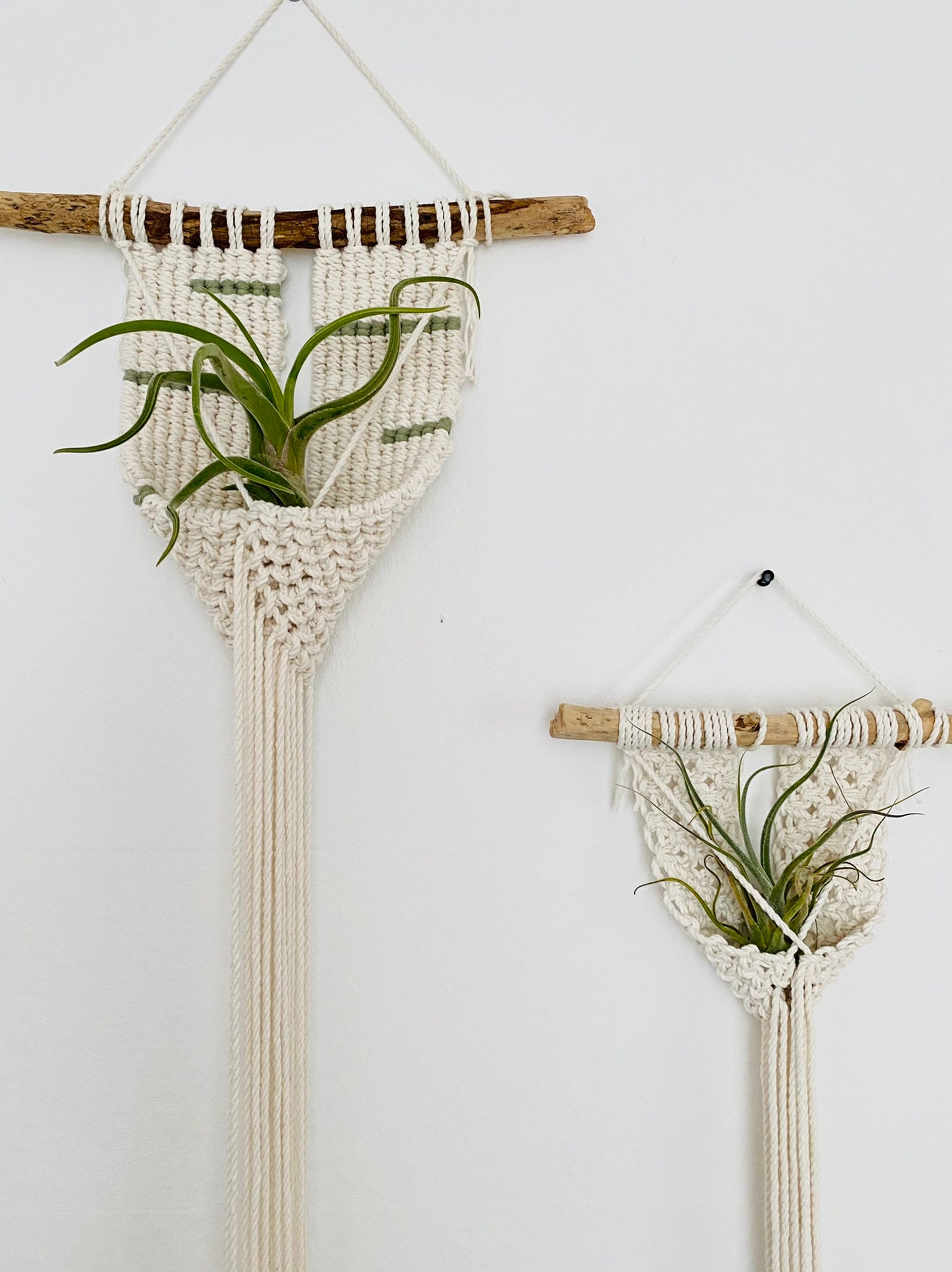 PDF Macrame Air Plant Holder Pattern Macrame Plant Hanger - Etsy