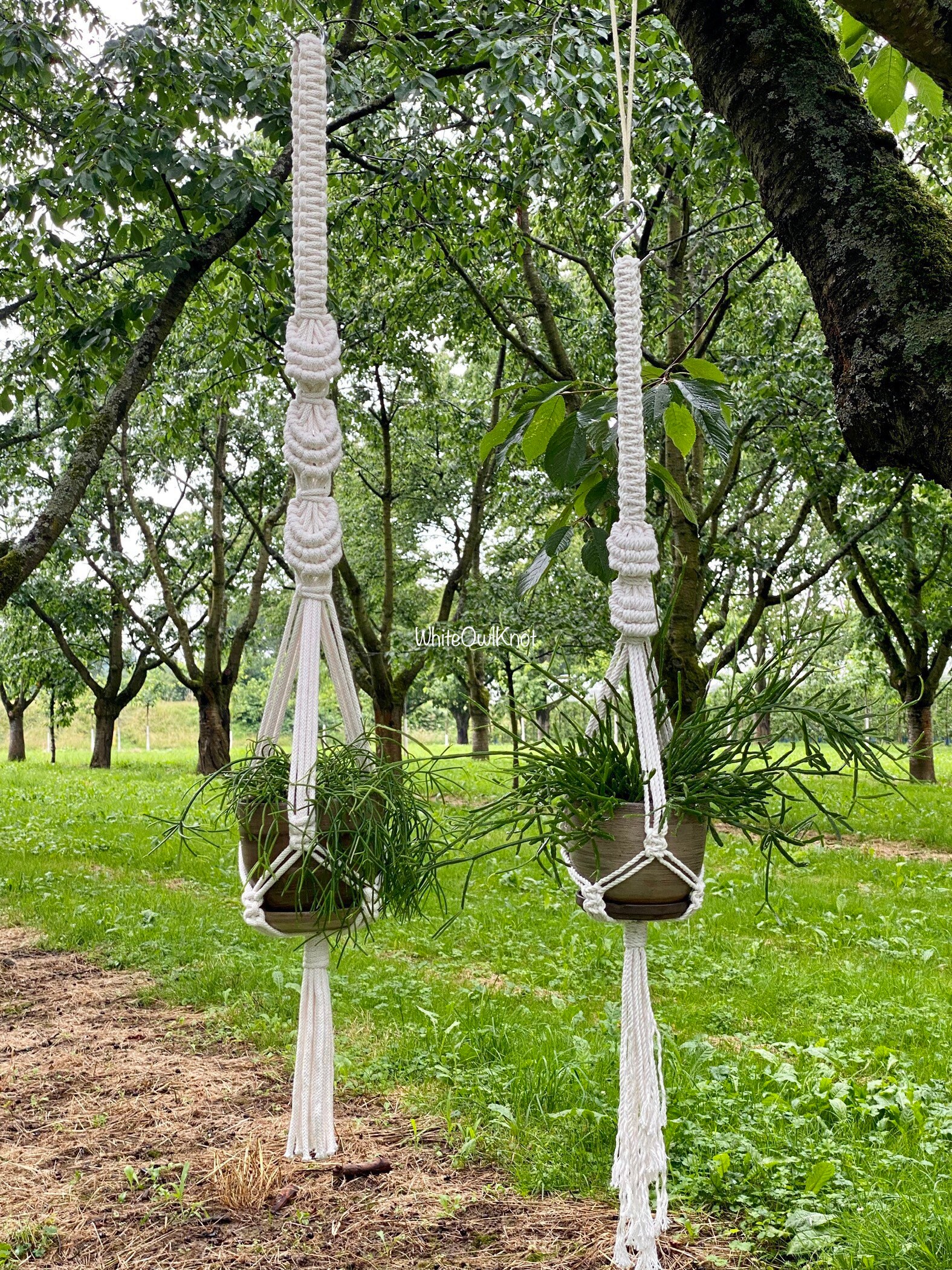 DIY Macrame Plant Hanger PDF Pattern, Shells Hanging Planter Tutorial ...