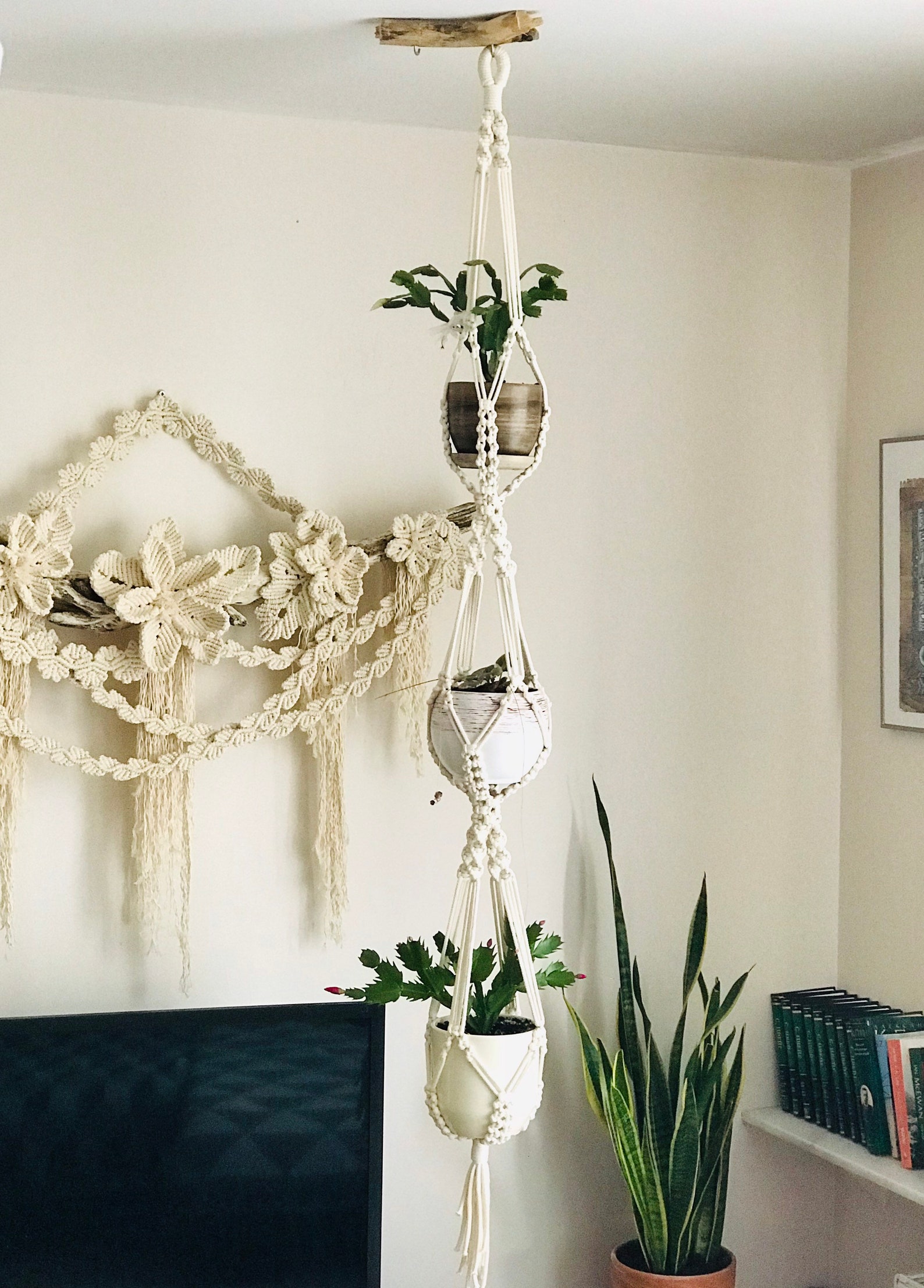 Triple Macrame Plant Hanger Pattern BEGINNER Macrame Fantasy - Etsy